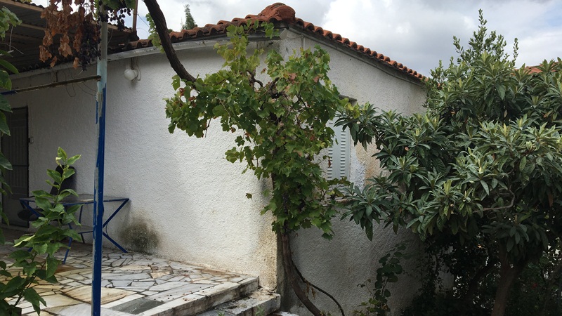 ΛΙΒΑΔΕΙΑ ΠΩΛΕΙΤΑΙ ΠΑΛΙΑ ΜΟΝΟΚΑΤΟΙΚΙΑ